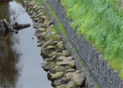 Cina 4x1x1 che tesse il PVC ha ricoperto il cavo Mesh For Flood Bank in vendita