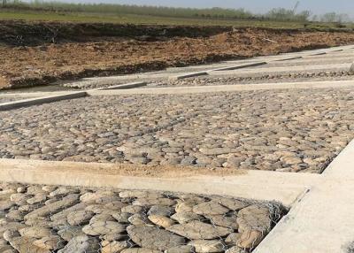 Cina Il PVC solido della costruzione 100x120mm ha ricoperto la scatola del gabbione in vendita