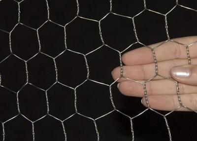 Cina 2.0mm che la pietra ha riempito Hd hanno galvanizzato il reticolato esagonale in vendita