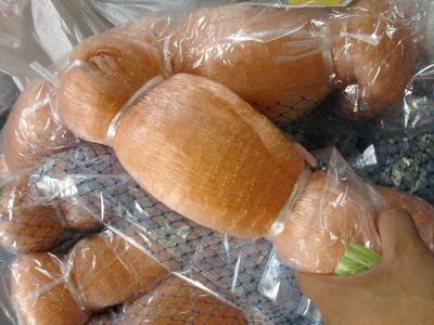 China YELLOW fishing nets,Length Stretching ,0.20mm 1inch 80md for sale