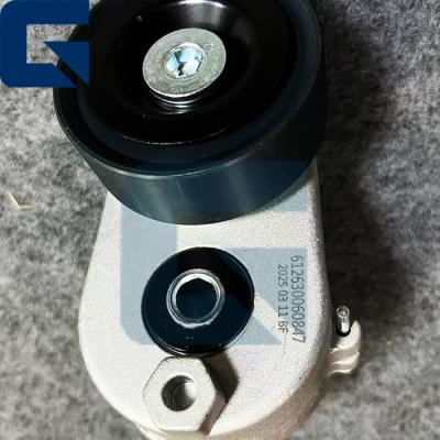 China VG1246060005 Vg1246060005 Engine Belt Automatic Tension Pulley for sale