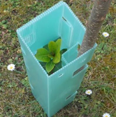 China corflute tree guard tree guard sleeve for sale