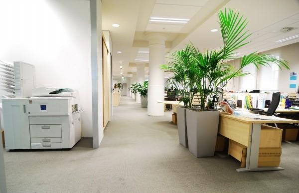 Fornitore cinese verificato - REGENA INDUSTRY LIMITED