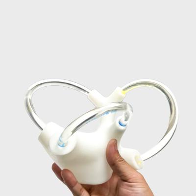 Cina Scheletro umano Coclea Orecchio interno Rehabilitazione del nervo cranico Funzione anatomica Dimostrazione didattica Canale semicircolare in vendita