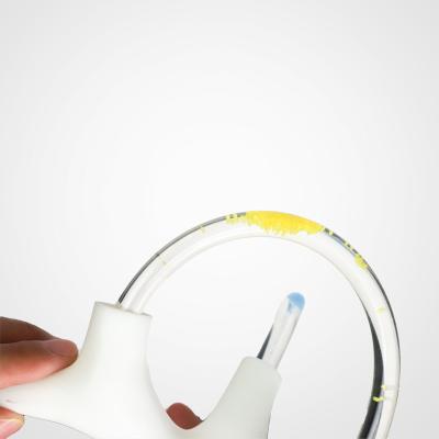 Cina Scheletro umano Coclea Orecchio interno Rehabilitazione del nervo cranico Funzione anatomica Dimostrazione didattica Canale semicircolare in vendita