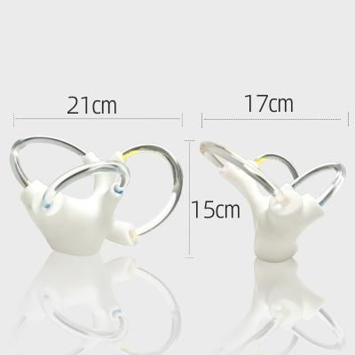 Cina Scheletro umano Coclea Orecchio interno Rehabilitazione del nervo cranico Funzione anatomica Dimostrazione didattica Canale semicircolare in vendita