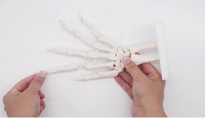 Cina Dimensioni di vita umana Fingere osso flessibile per dimostrazione medica Studio Educazione con base scheletrico Modello articolare della mano in vendita