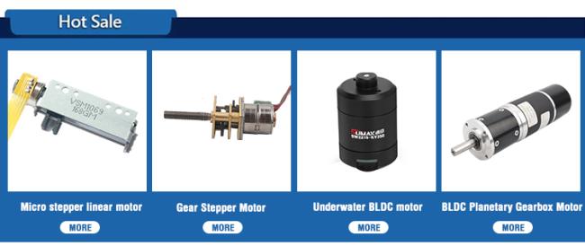 VSM10152 Micro Stepper Motor quality inspection