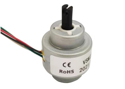 Cina Motore facente un passo lineare dell'asse su ordinazione 15 diametro di angolo 12V 25mm di punto di grado in vendita