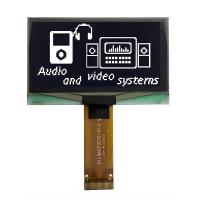 China Monochrome OLED Display Module 2.42 Inch for sale