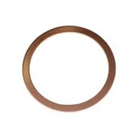 China Basic Type Metal Gaskets Wth Loose Outer Ring With Integral Pipe Fittings for sale
