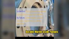 C71500 Copper Nickel WNRF Flange High Pressure Solution