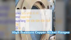 High Pressure Copper Nickel Flange for Shipbuilding