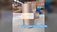 Ductile Iron Reducing Tee UL FM Listed 300PSI Pipe Fitting
