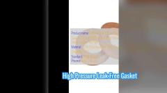 High Pressure SS316 Graphite Spiral Wound Gasket Guide
