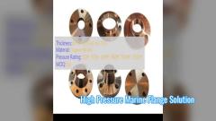 High Pressure CuNi 90 10 Weld Neck Flange for Marine Use