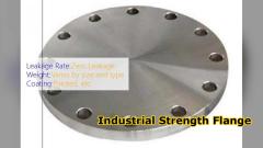 Copper Nickel Flange DN25 PN40 Industrial Strength