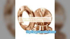 Corrosion Resistant CuNi Weld Neck Flange for Fertilizer Plants