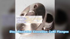 CuNi 70 30 Forged Flange Seawater Corrosion Resistant