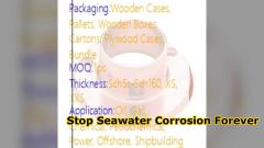 CuNi 90 10 Weld Neck Flange Seawater Corrosion Solution