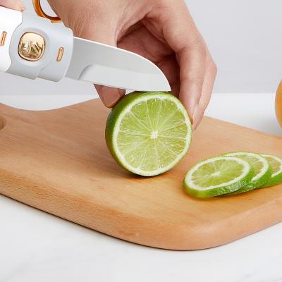 China 18.9*3.5CM Multifunctional 2 In 1 Stainless Steel Fruit Knife 77g for sale