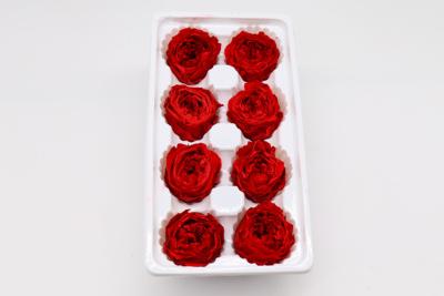 Cina 4-5cm  Austin Flower Rose Head Preserved Long Lasting Eternal Rose For Wedding Decoration in vendita