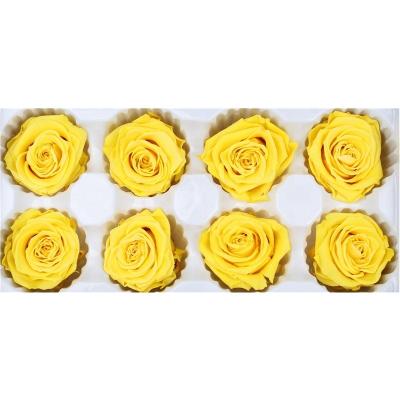 Cina Capolini dorati di DIY Rosa gialla 4-5cm per la decorazione dell'interno in vendita