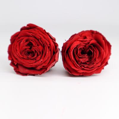 Cina Preserved austin rose flower rose head Valentines wedding ladies gift in vendita