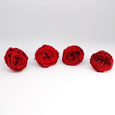 Cina Preserved austin rose flower rose head Valentines wedding ladies gift in vendita