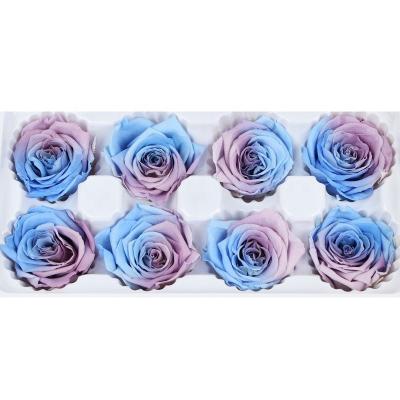 China Rosa preservada colorida bonita dirige elegante para a decoração home à venda