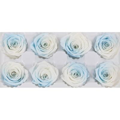 China Rosa preservada colorida bonita dirige elegante para a decoração home à venda