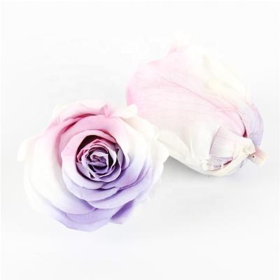 China Rosa preservada colorida bonita dirige elegante para a decoração home à venda