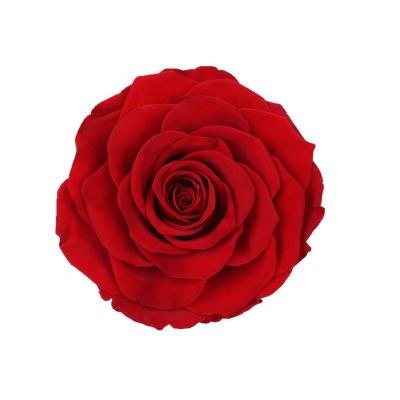 Cina La decorazione domestica ha conservato l'arredamento decorativo della famiglia creativa delle teste di Rosa in vendita