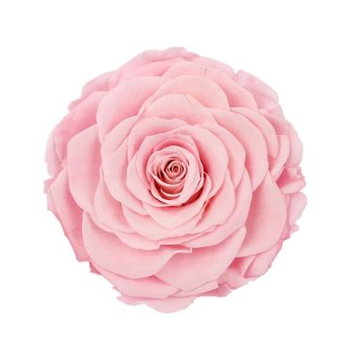 Cina La decorazione domestica ha conservato l'arredamento decorativo della famiglia creativa delle teste di Rosa in vendita