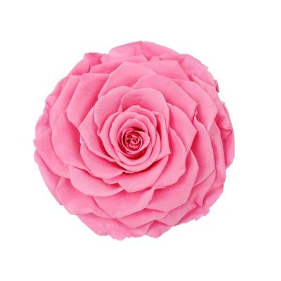 Cina La decorazione domestica ha conservato l'arredamento decorativo della famiglia creativa delle teste di Rosa in vendita