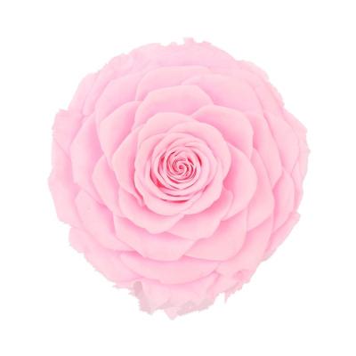 Cina La decorazione domestica ha conservato l'arredamento decorativo della famiglia creativa delle teste di Rosa in vendita