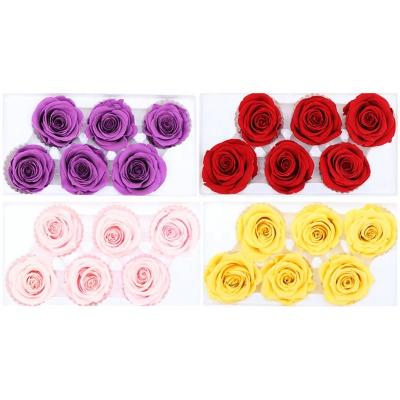 China A decoração home preservou as cabeças de Rosa para arranjos e decorações à venda