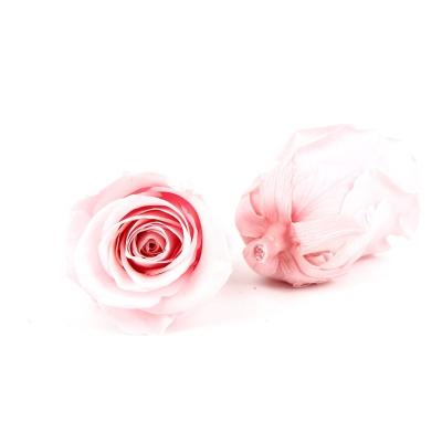 China A decoração home preservou as cabeças de Rosa para arranjos e decorações à venda