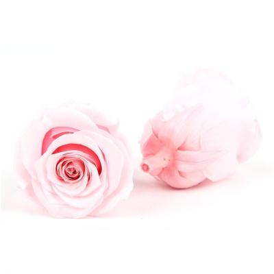 China A decoração home preservou as cabeças de Rosa para arranjos e decorações à venda