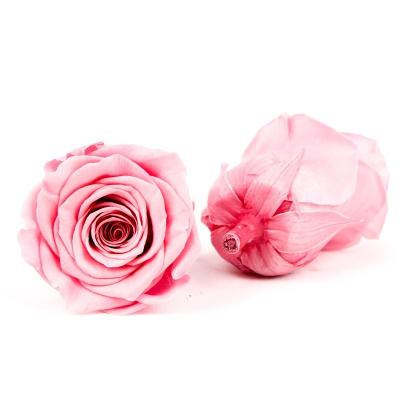 China A decoração home preservou as cabeças de Rosa para arranjos e decorações à venda