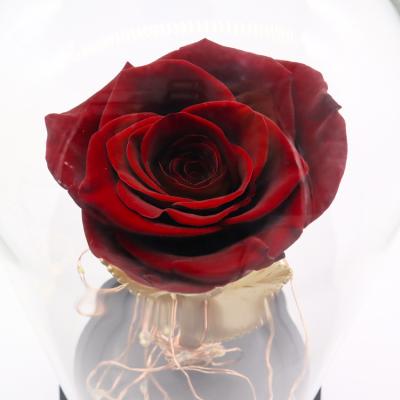 Cina La progettazione fatta a mano eterna ha conservato la cupola di vetro di Rosa con l'altoparlante di Bluetooth in vendita