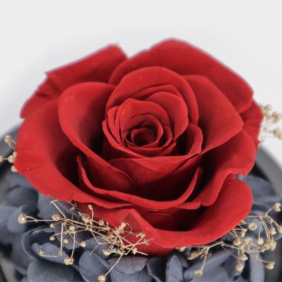 Cina La cupola di vetro su misura di Rosa conservata colore continua sembrare luminosa e bella in vendita