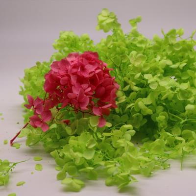 Cina Red Green ha conservato i gambi dell'ortensia per la decorazione di nozze in vendita