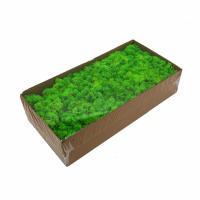China Multiple Colors Interior Decoration Preserved Green Wall With Simple Structure for sale