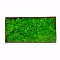 China Multiple Colors Interior Decoration Preserved Green Wall With Simple Structure for sale
