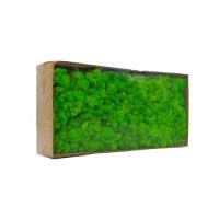 China Multiple Colors Interior Decoration Preserved Green Wall With Simple Structure for sale