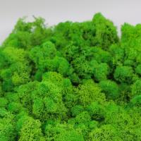 China Multiple Colors Interior Decoration Preserved Green Wall With Simple Structure for sale