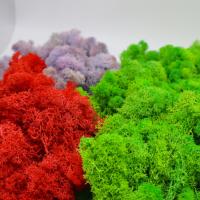 China Multiple Colors Interior Decoration Preserved Green Wall With Simple Structure for sale