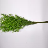 China Beautiful Preserving Eucalyptus Foliage Dry Desmodium For Craft for sale
