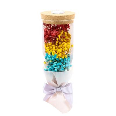 China Het duidelijke Duurzame Mini Dit wensen nam Flessen Perfecte Gift voor Valentijnskaartendag toe Te koop
